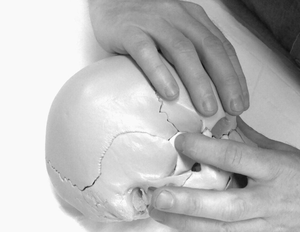 L’Enfant de 3 mois à 16 ans : Approche Ostéopathique de la Pédiatrie ...